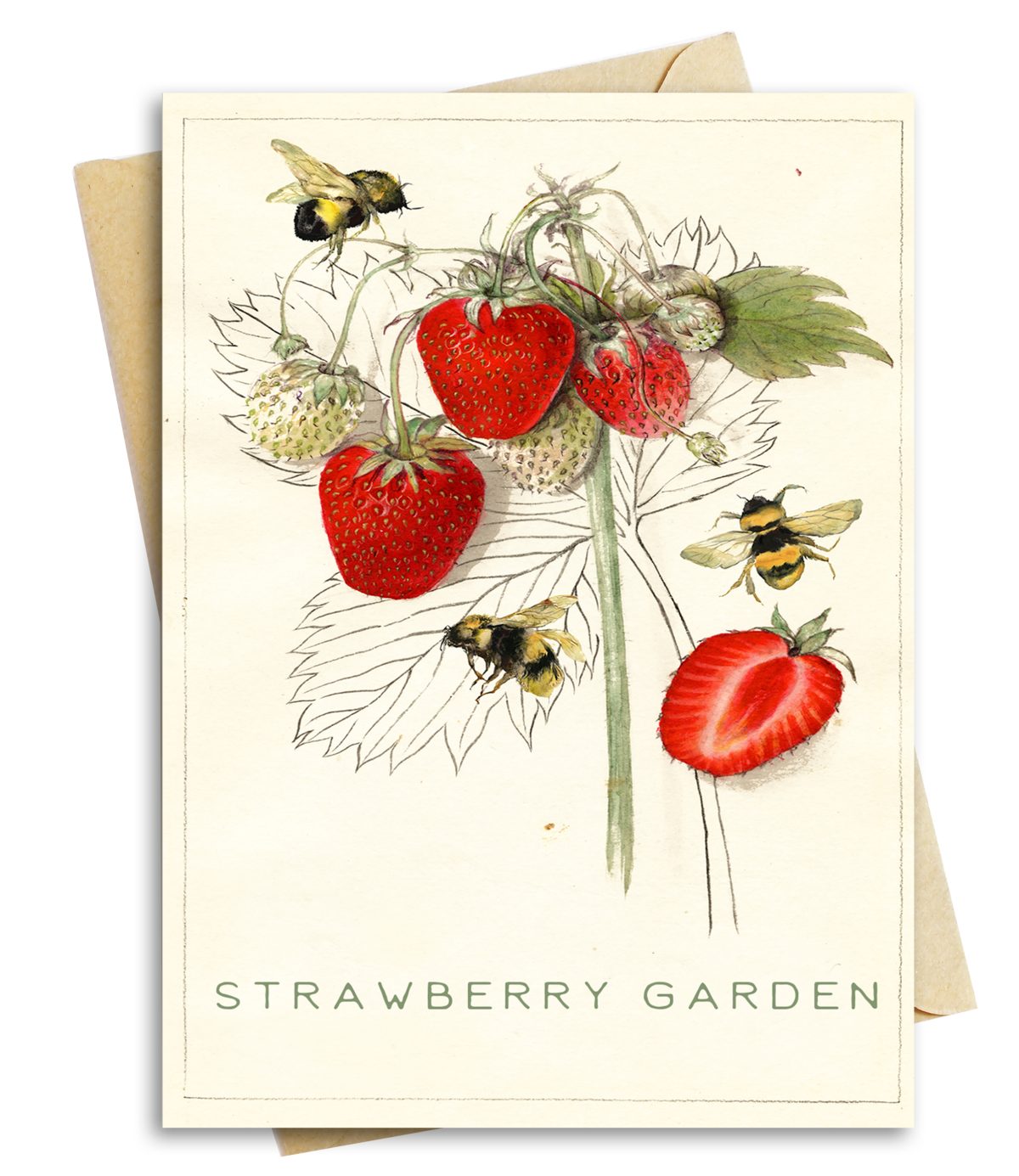Strawberry Garden - Note Card Set | Nauvoo Mercantile